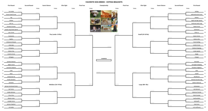 Favorite Dog Breeds – Round One – Voting Brackets