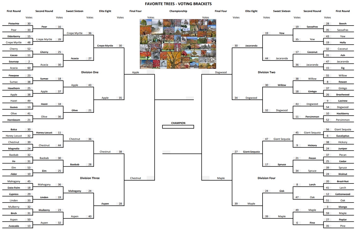 Favorite Trees – Semifinals – Voting Brackets