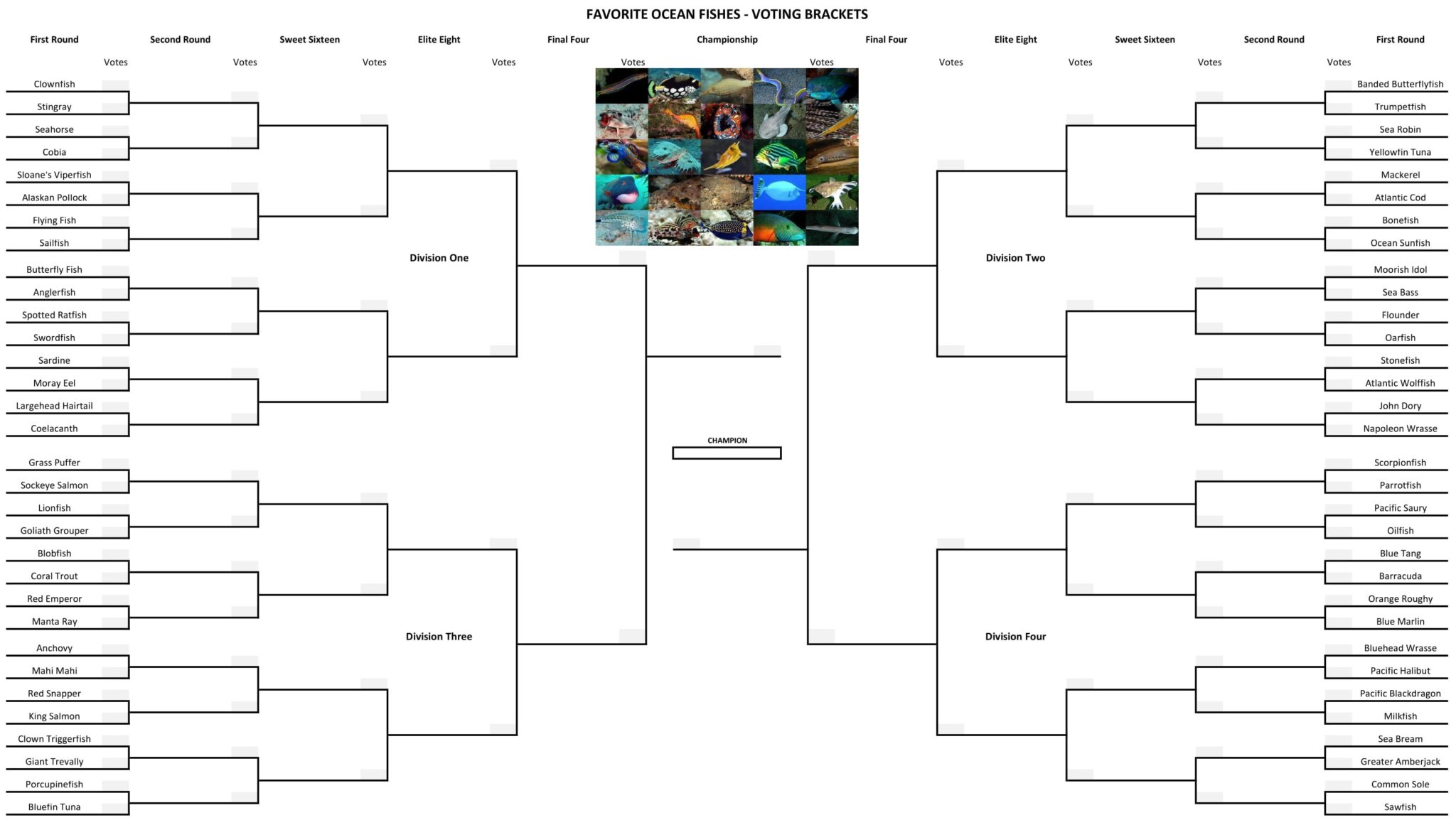 Favorite Ocean Fishes – Round One – Voting Brackets