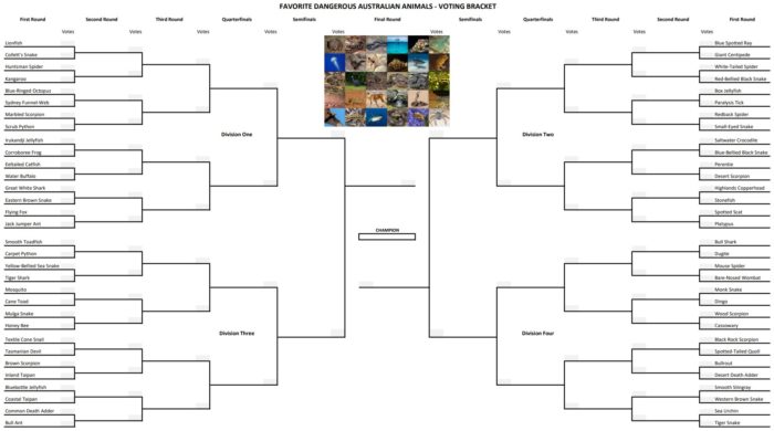 Favorite Dangerous Australian Animals – Round One – Voting Brackets