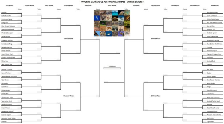 Favorite Dangerous Australian Animals – Round One – Voting Brackets