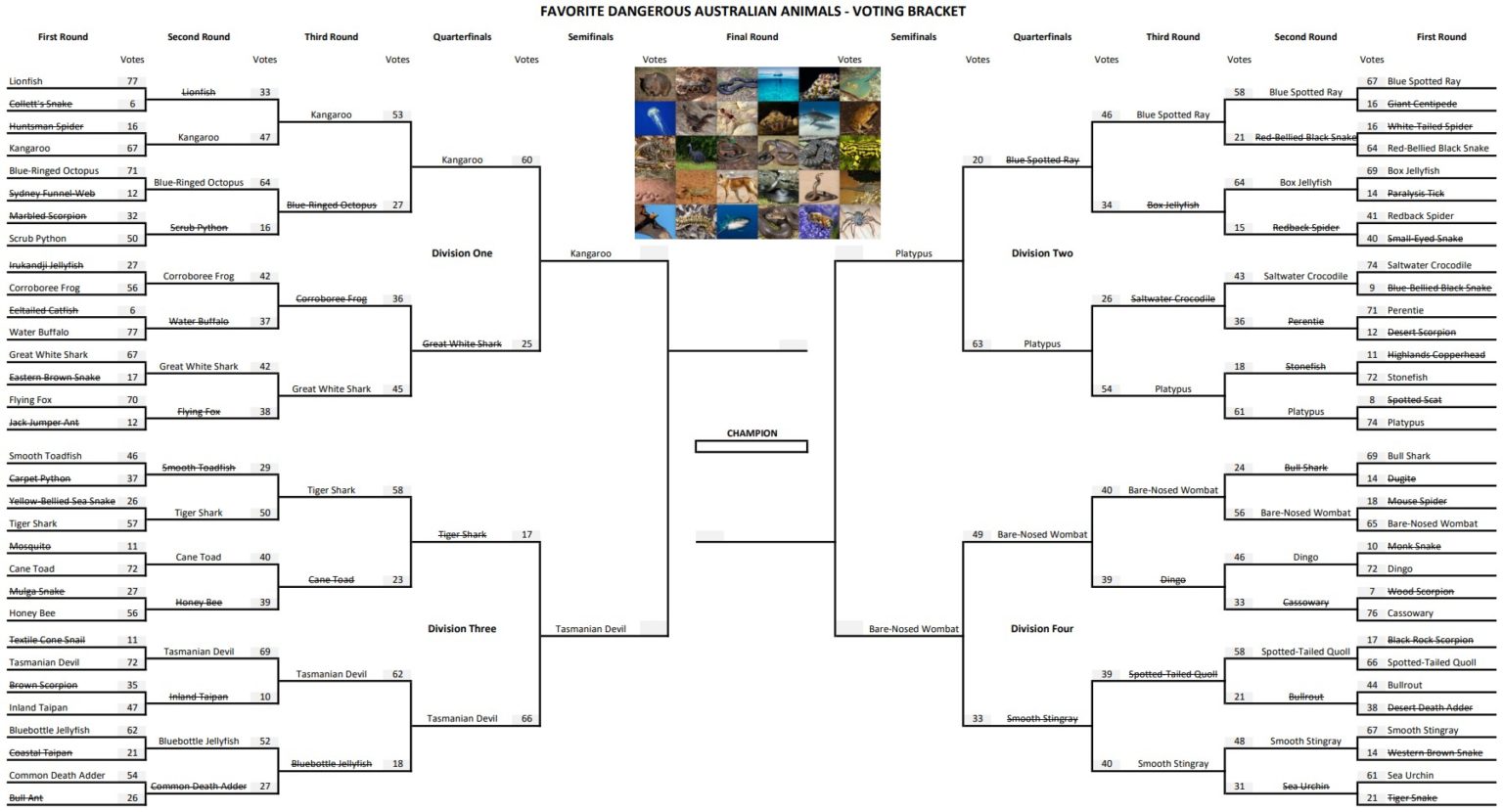 Favorite Dangerous Australian Animals – Semifinals – Voting Brackets