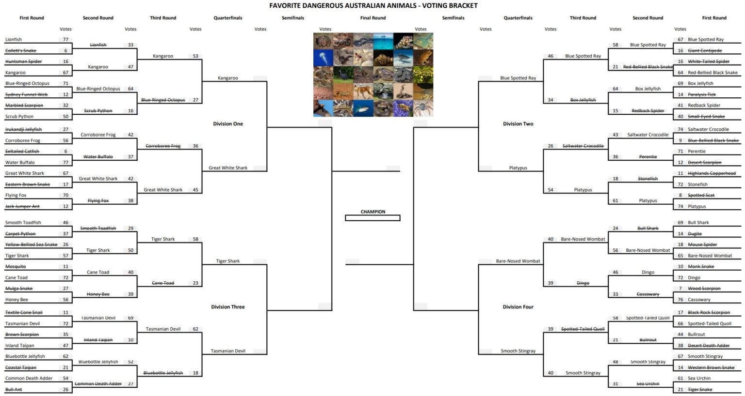 Favorite Dangerous Australian Animals – Quarterfinals – Voting Brackets