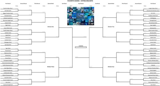 Favorite Sharks – Round One – Voting Brackets
