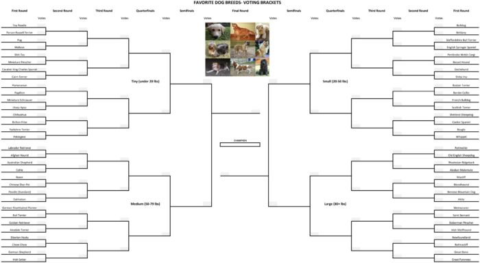 Favorite Dogs Revisited – Round One – Voting Brackets
